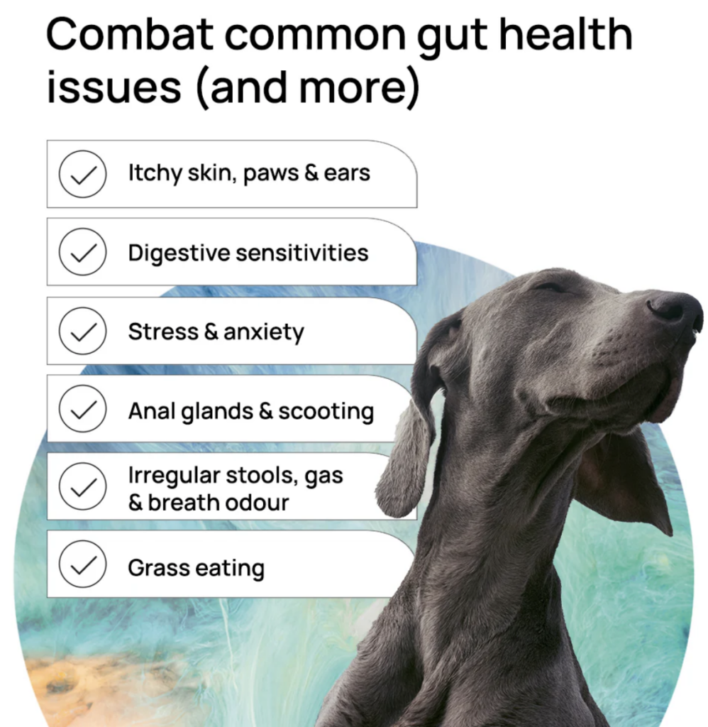 The Secrets Within: Why Your Dog’s Gut Microbiome Matters More Than You ...